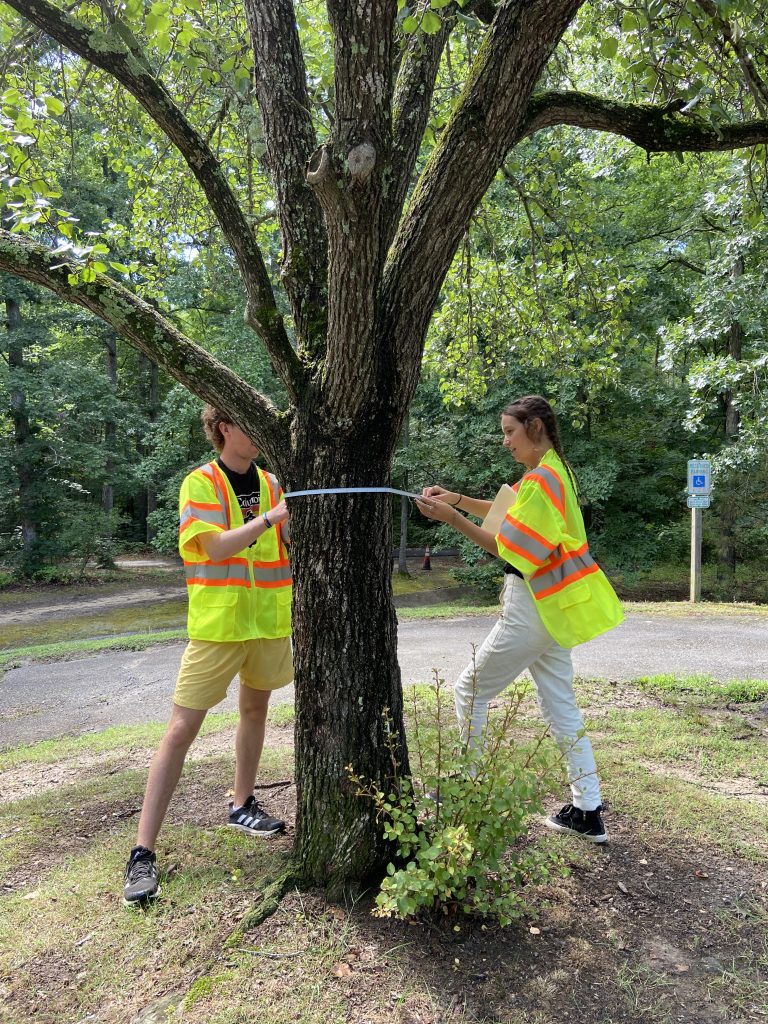 Professionally Developing Students Through Internships - Henrico HR